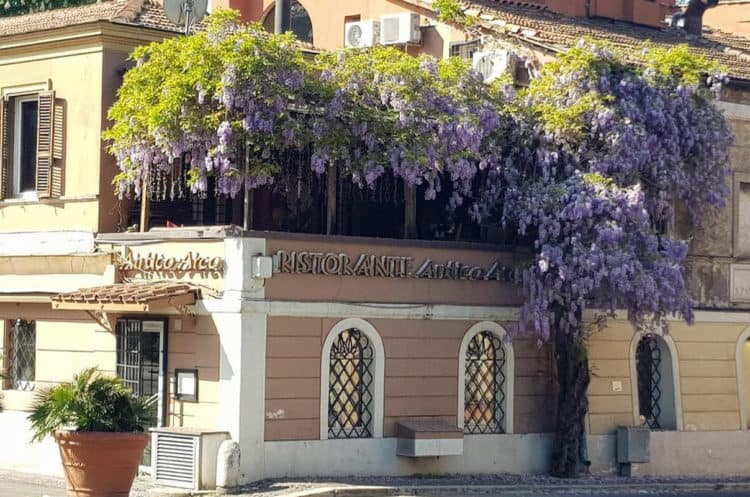 Where to have dinner in Rome | The Roman Food Tour